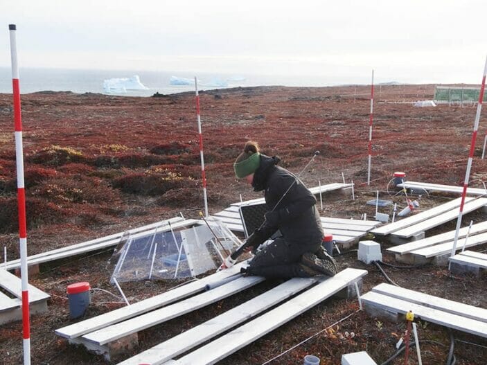 Outposts: CI-600 In-Situ Root Imager at the Arctic Station - CID Bio ...