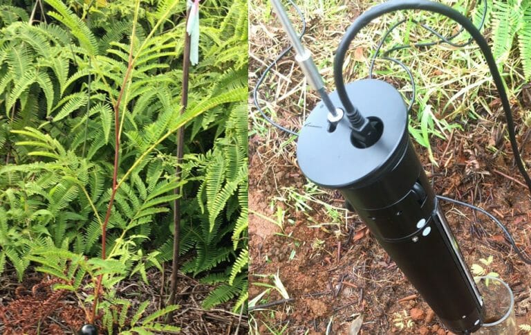 Grasslands Research Featuring CI-600 In-Situ Root Imager and RootSnap ...