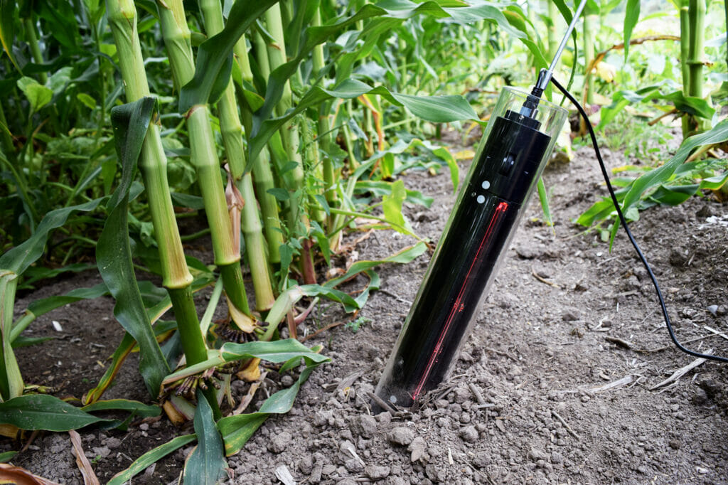 How is Climate Change Affecting Photosynthesis? - CID Bio-Science