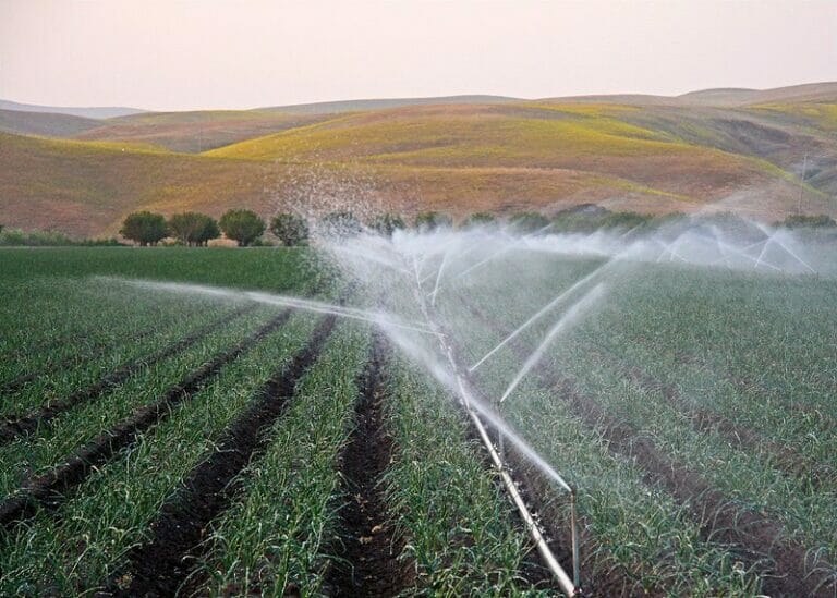 Irrigating with Saline or Seawater - CID Bio-Science