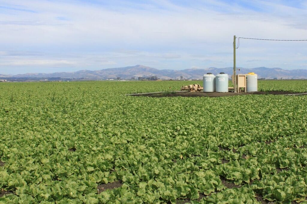 Growth Regulators and Bio-stimulants Boost Plant Growth and Yield - CID ...