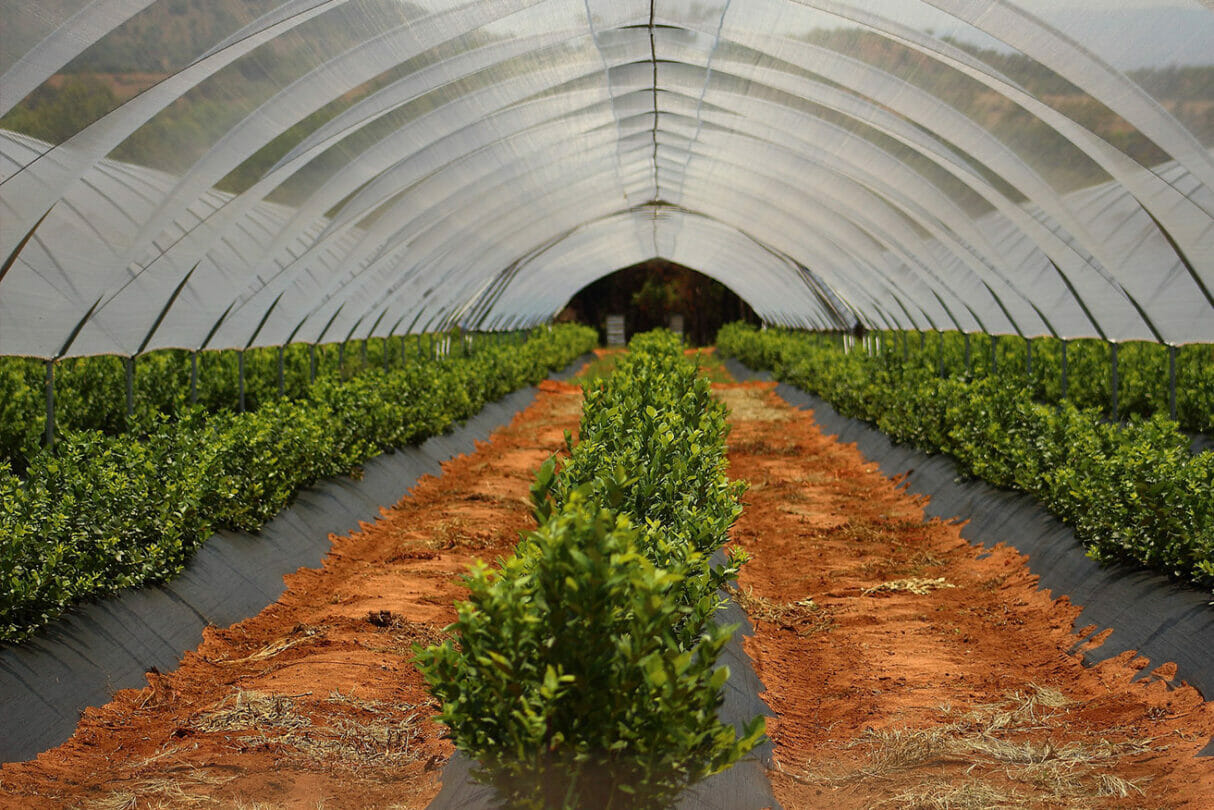 NIR & Spectroscopy in Agriculture & Crop Science - CID Bio-Science