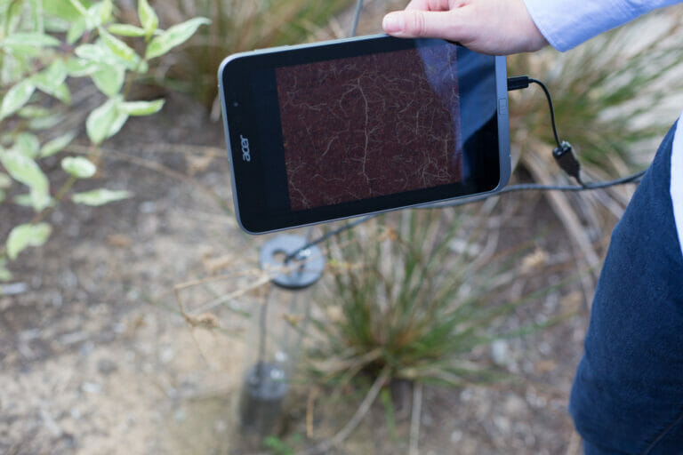 Grasslands Research Featuring CI-600 In-Situ Root Imager and RootSnap ...