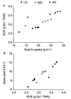 Light Interception and Nitrogen Fertilization to Increase Maize Yield ...
