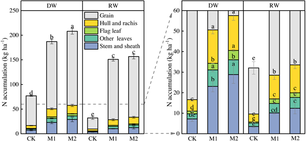 Root Growth and Nitrogen Treatments in Wheat Crop Rotation - CID Bio ...