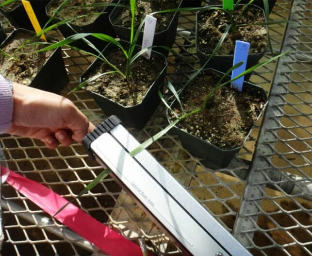 CI-203 Handheld Laser Leaf Area Meter - CID Bio-Science