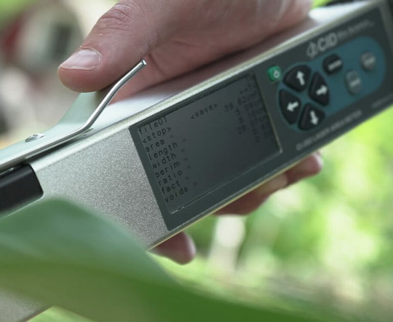 CI-203 Handheld Laser Leaf Area Meter - CID Bio-Science