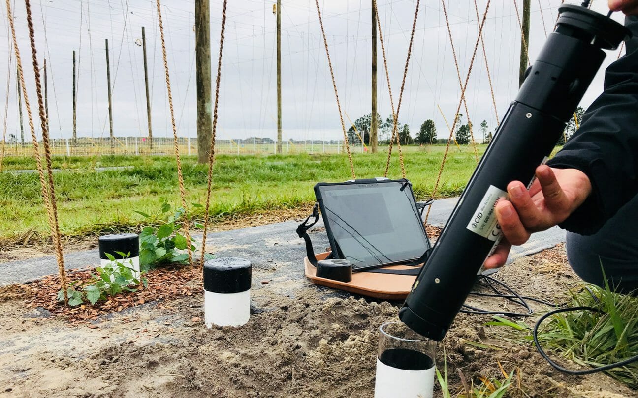 10 Vital Minirhizotron Applications for Agricultural Research - CID Bio ...