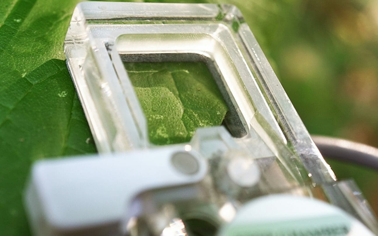 How is Climate Change Affecting Photosynthesis? - CID Bio-Science