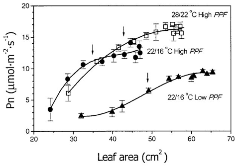Seven Crucial Applications Of Leaf Area Data - CID Bio-Science