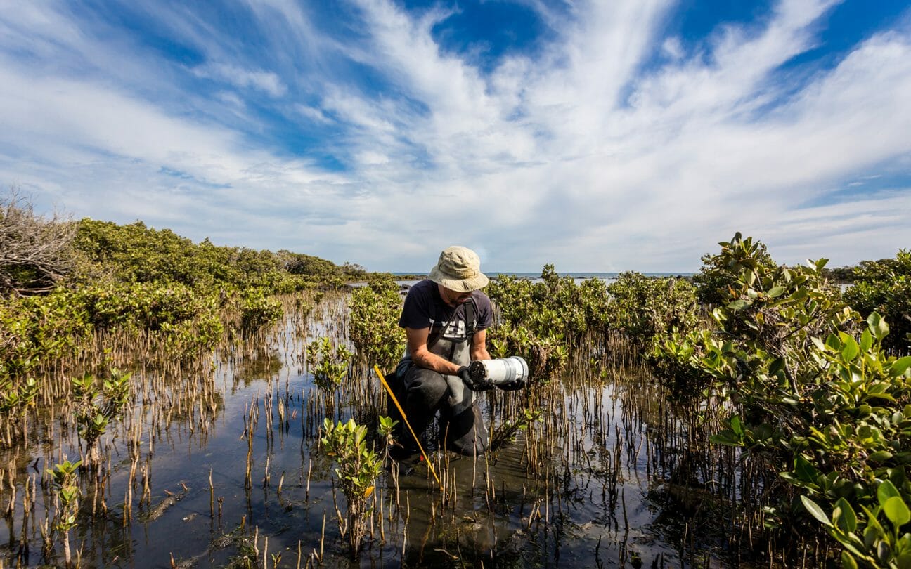 How Scientists Measure Terrestrial Carbon Pools - CID Bio-Science