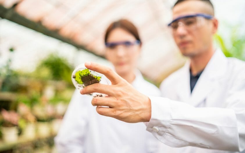A Comprehensive Glossary of Plant Science Terms: Delving into the World ...
