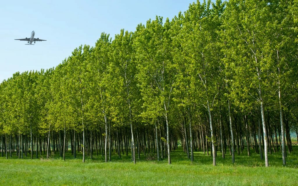 Insider Look: Unearthing the Secrets of Root Growth Vigor with Ehsan ...
