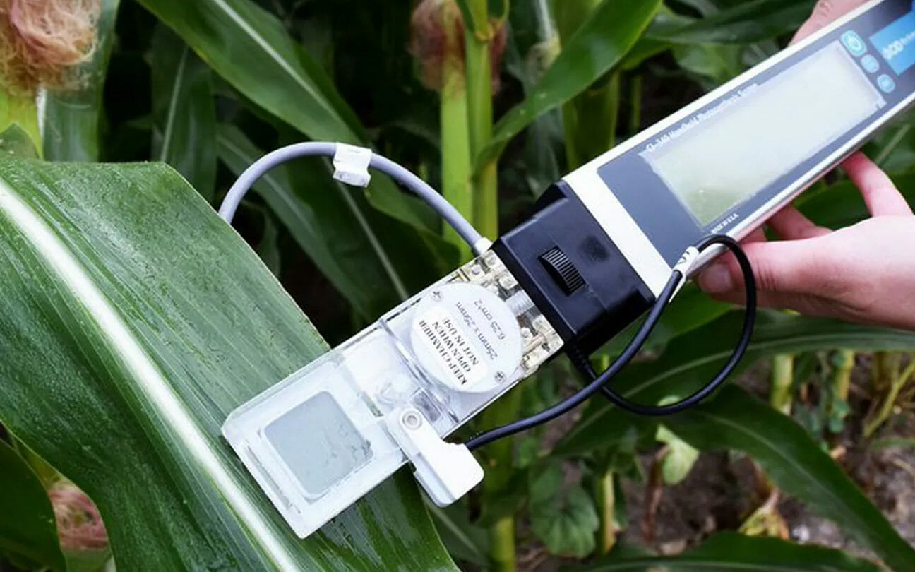 Top 10 Questions Plant Scientists Ask About Photosynthesis Analysis ...