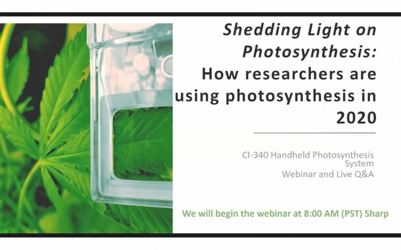 Interesting Photosynthesis Research in 2022 - CID Bio-Science