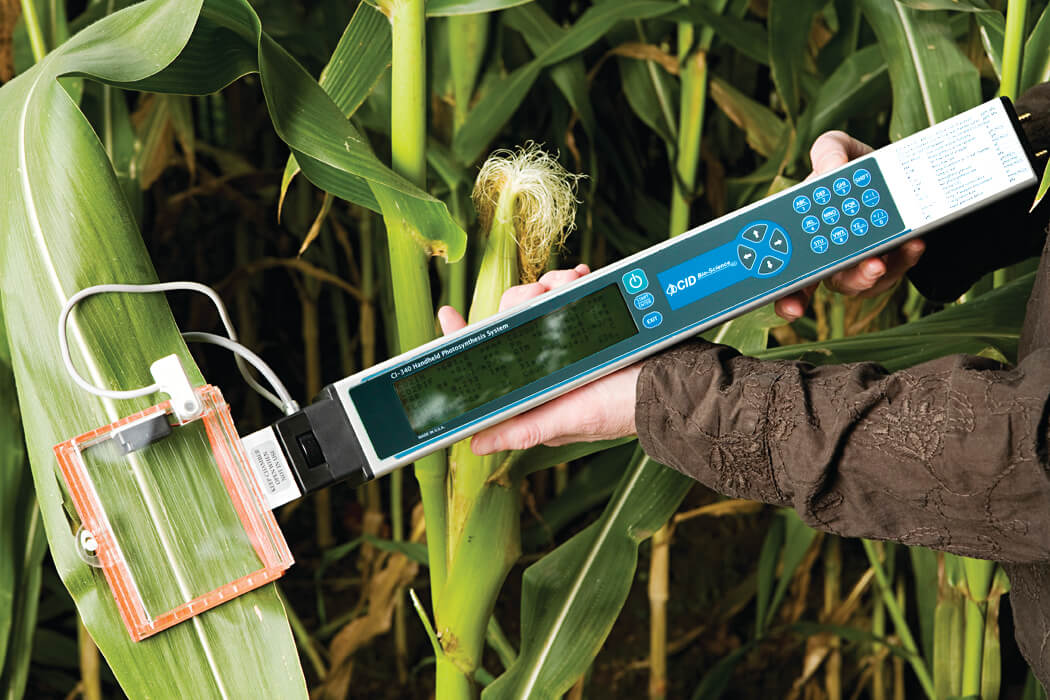 Exploring Plant Nutrient Status: Q&A on Chlorophyll Fluorescence ...