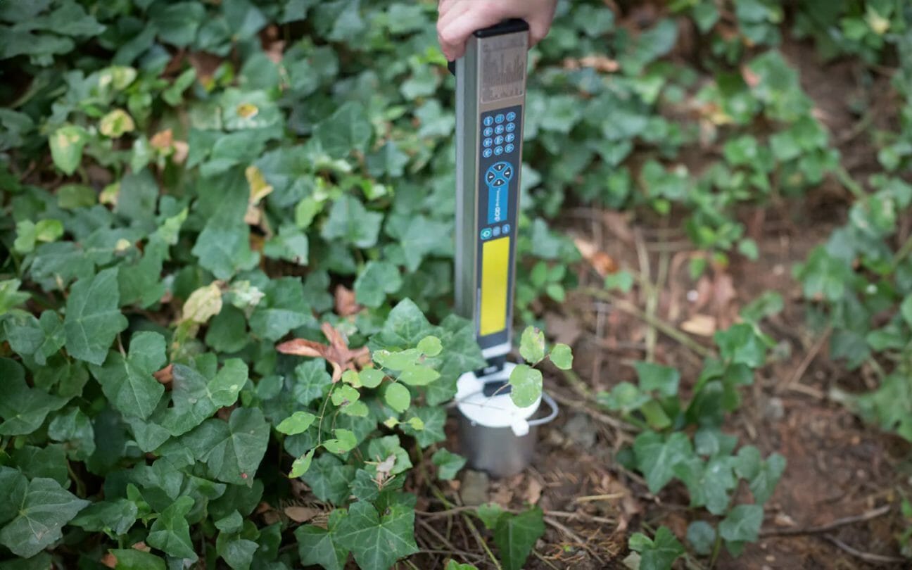 What is Plant Productivity, and How to Measure It - CID Bio-Science