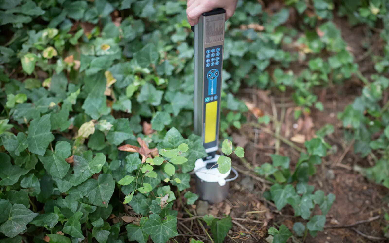 What is Plant Productivity, and How to Measure It - CID Bio-Science