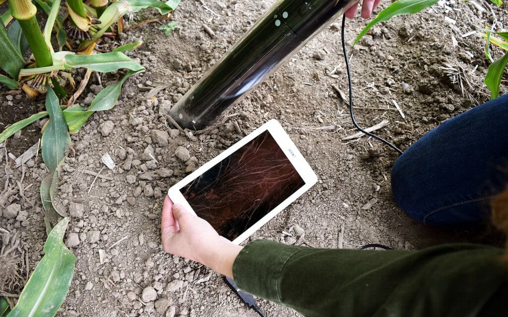 Guide: Connecting Root Traits to Functions - CID Bio-Science