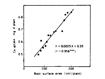 Guide: Connecting Root Traits to Functions - CID Bio-Science