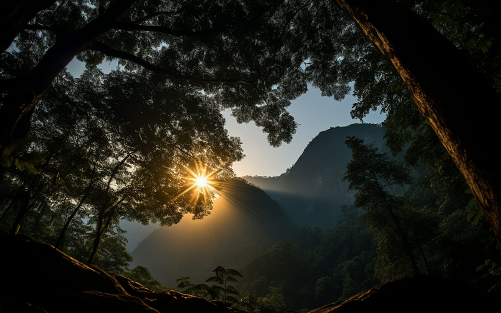 Exploring Vegetative Shading: An Insight into Ecological Complexities ...