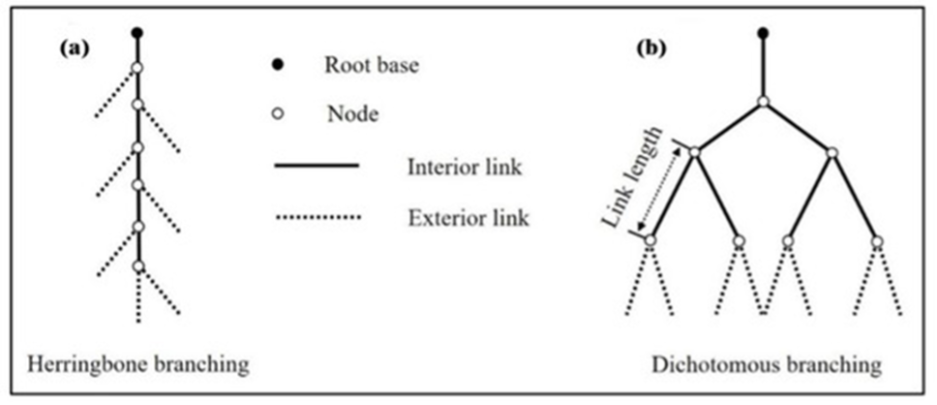 What is Root Architecture?