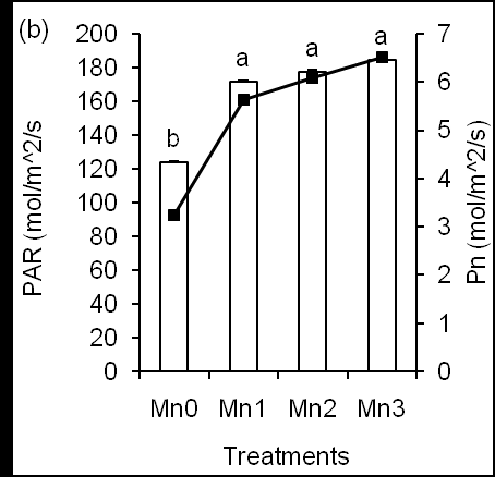 Micronutrient Research Using Leaf Area & Photosynthesis Rates to ...