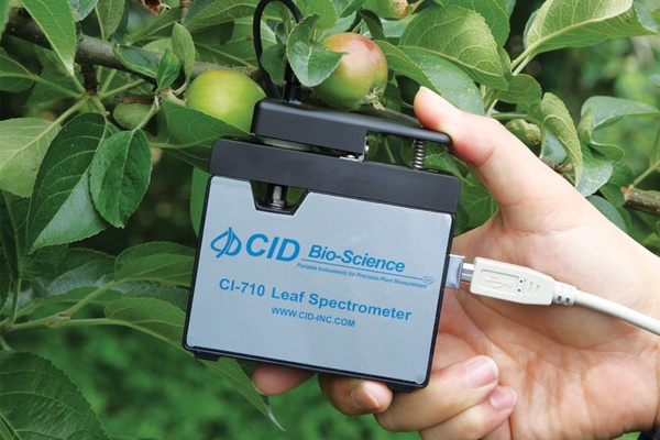 CI-710 Miniature Leaf Spectrometer | Tools for Applied Plant Science ...